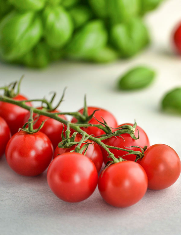 Cherry Tomatoes – HaziziFarm Fresh Fruits and Vegetables Export